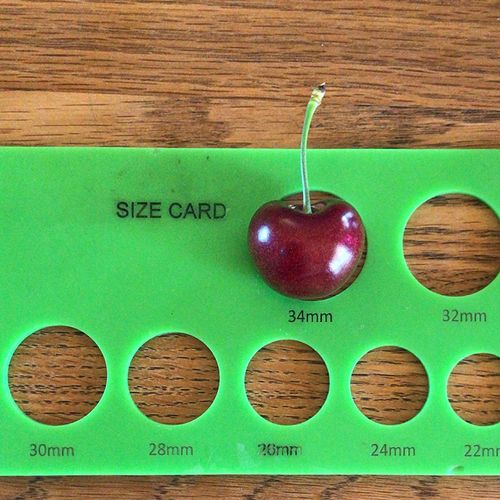Pick your own – Cheeki Cherries